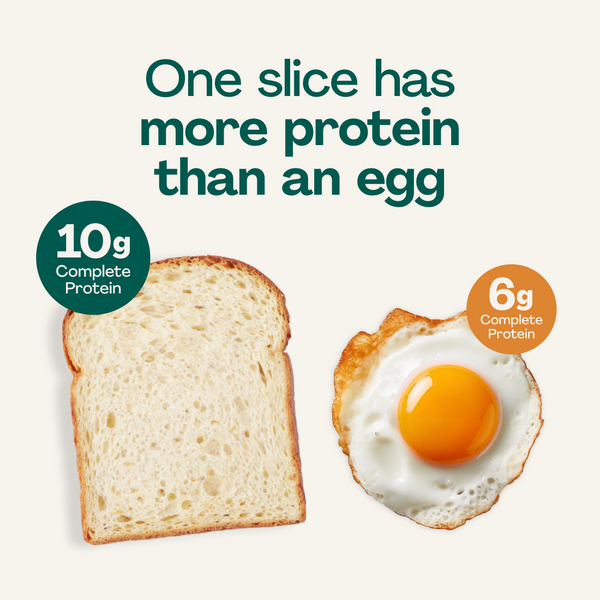 Plant-Based Protein Bread – Low-Carb, High Fiber & Sugar-Free